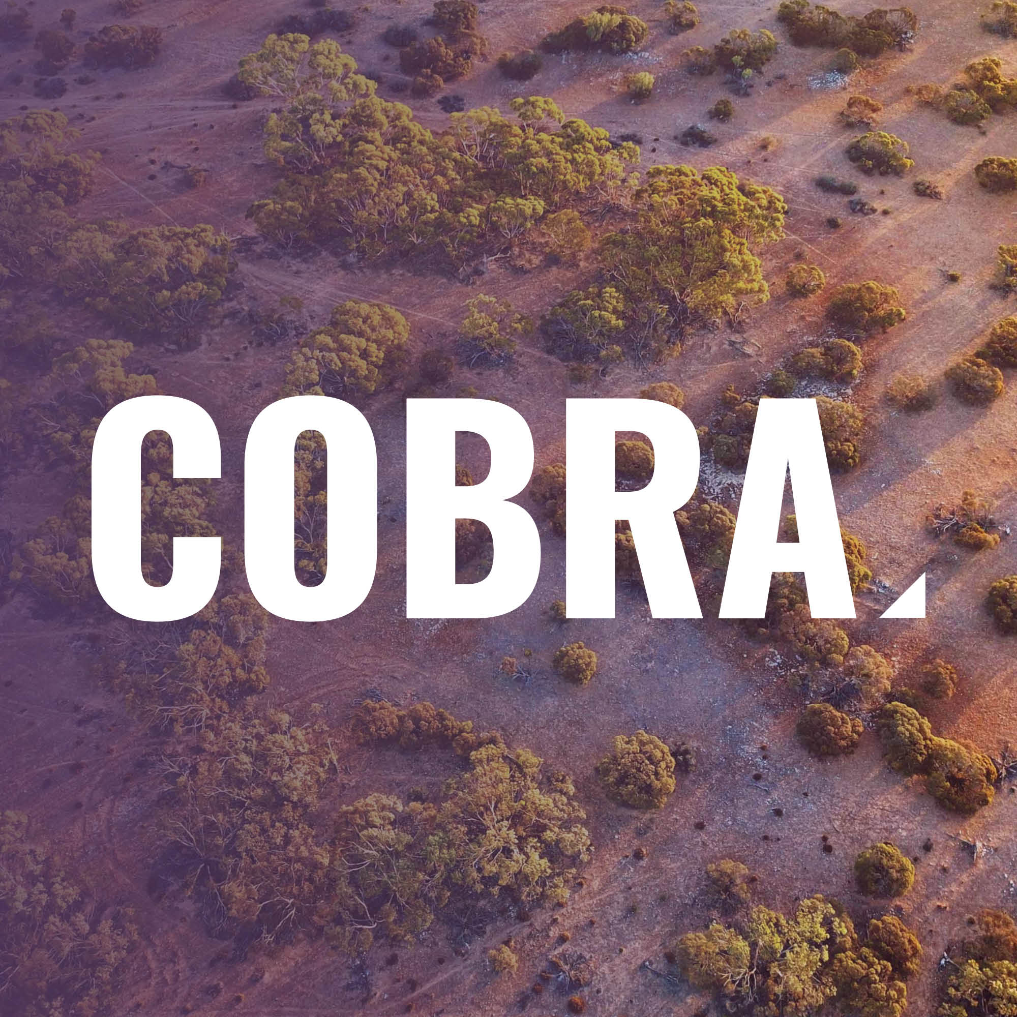 About - Cobra Resources